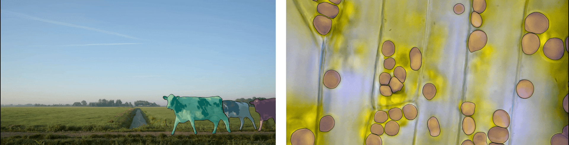 Meta's new Segment Anything Model Explained